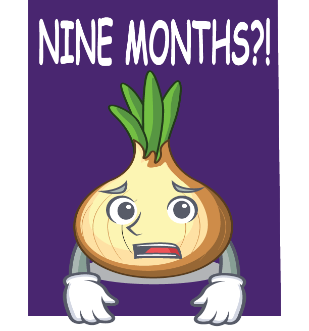 Peeling Back the U.S. Consumer Onion - An Economic Mystery - Wellesley ...